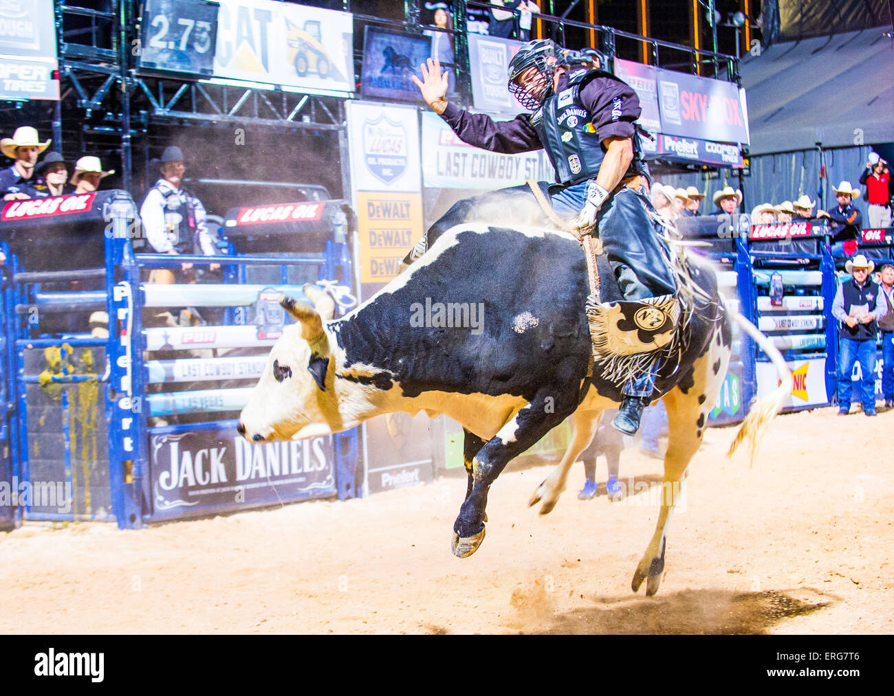 Cowboy Participating in a Bull riding Competition at the Last Cowboy ...