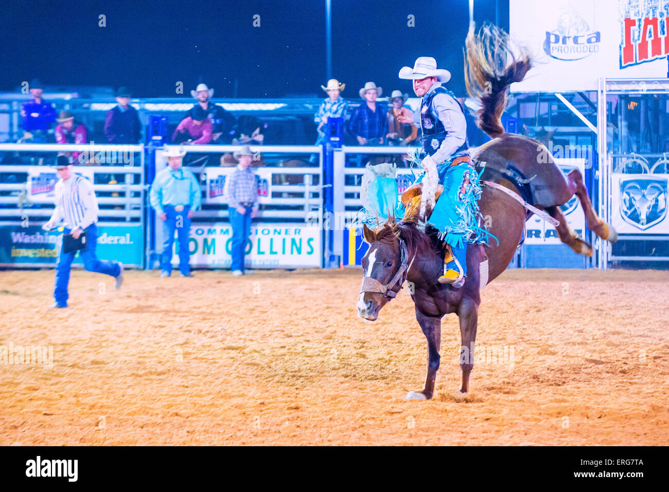 Cowboy Participating in a Bucking Horse Competition at the Helldorado ...