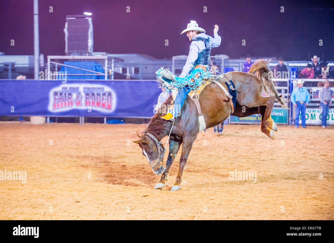 Cowboy Participating in a Bucking Horse Competition at the Helldorado ...