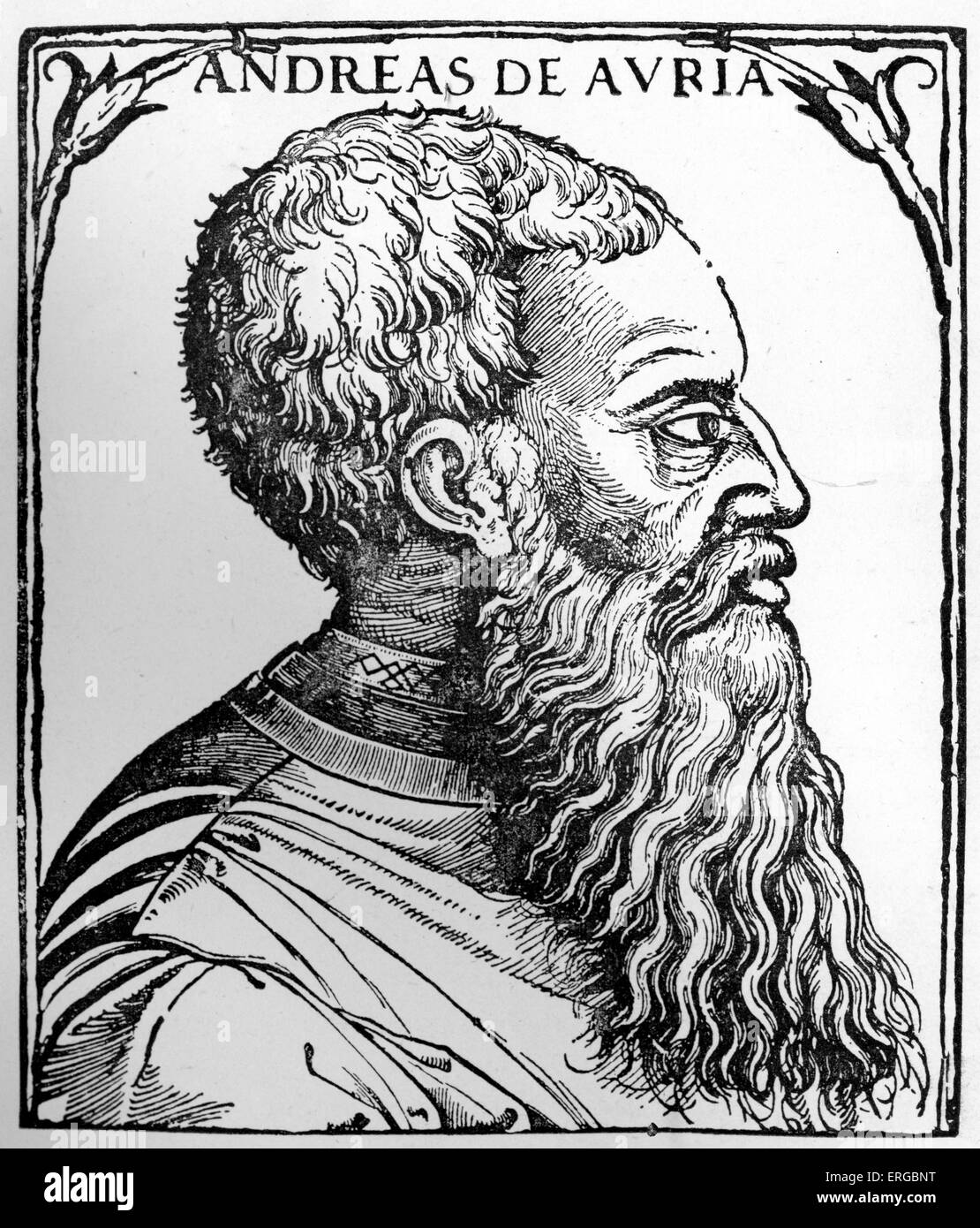 Andrea Doria - portrait. Italian condottiere (leader of mercenary ...