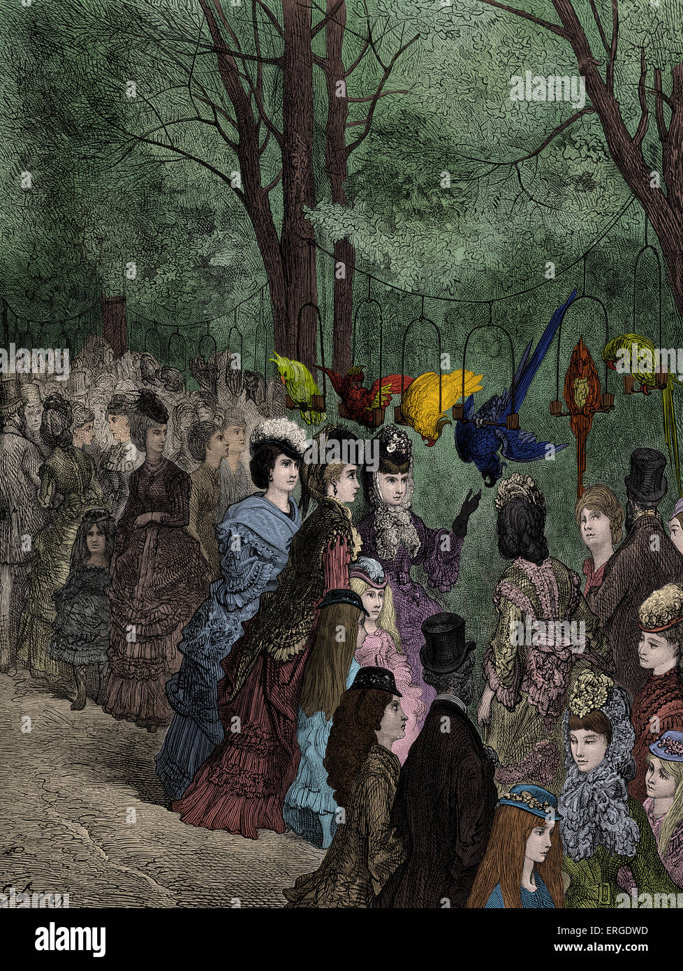 The parrot walk at the Victorian London zoo in Regents Park. Engraving ...