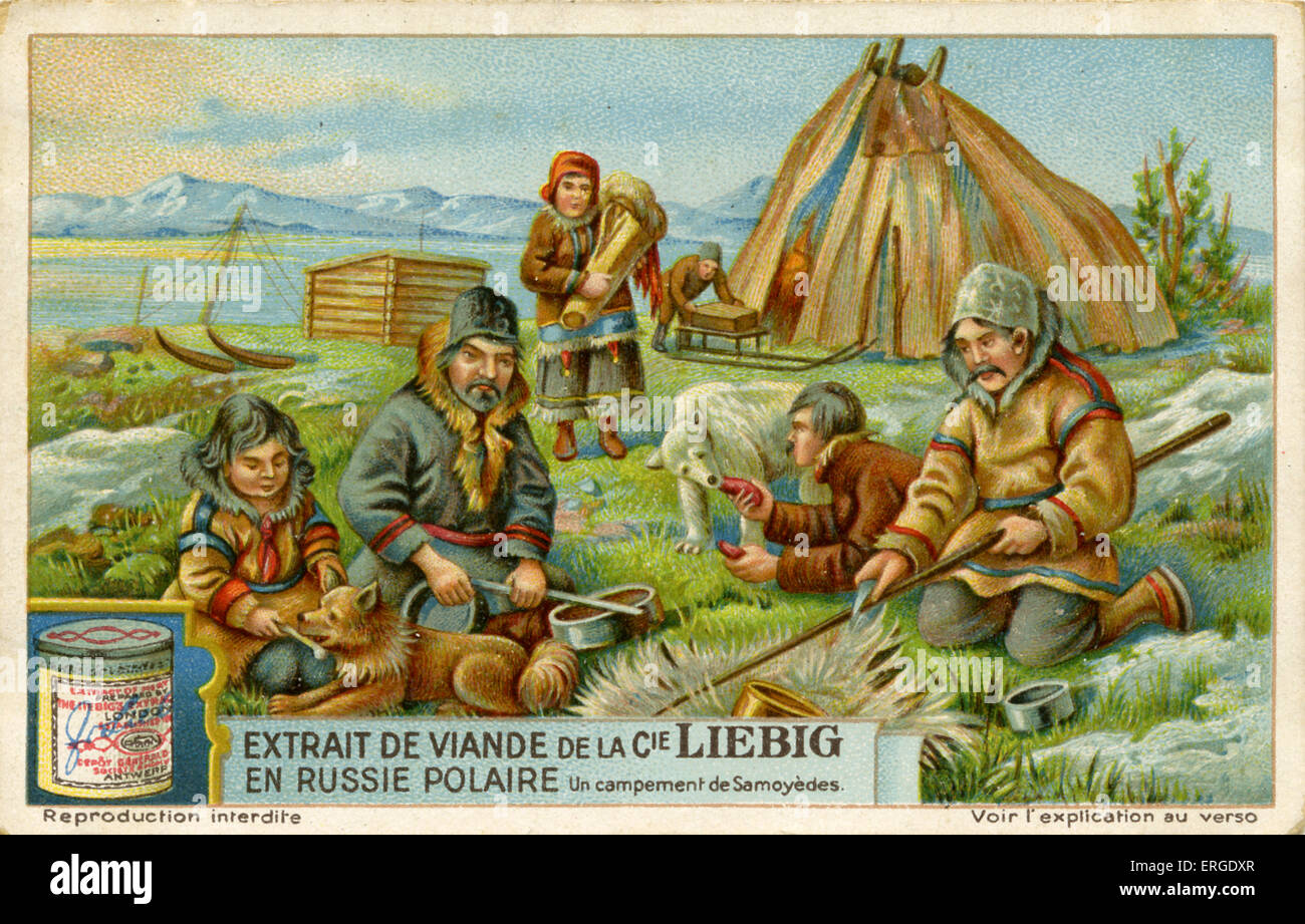 Dogs who boat hi-res stock photography and images - Alamy