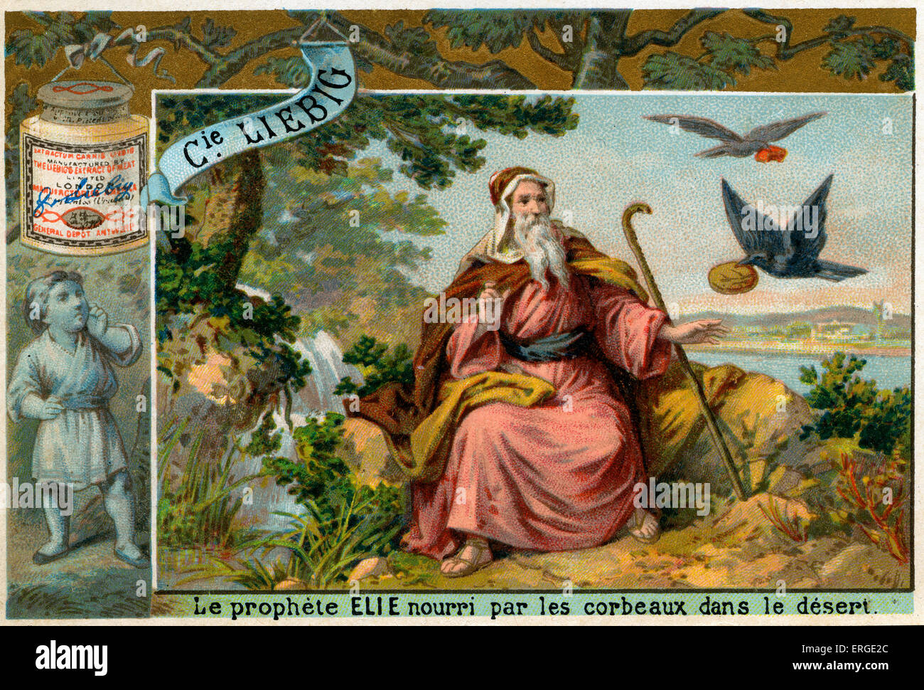 Ravens feed elijah hi-res stock photography and images - Alamy