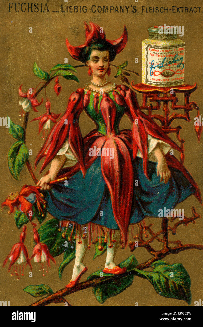 Fuchsia personified. Lady dressed in a fuchsia costume. She stands upon ...