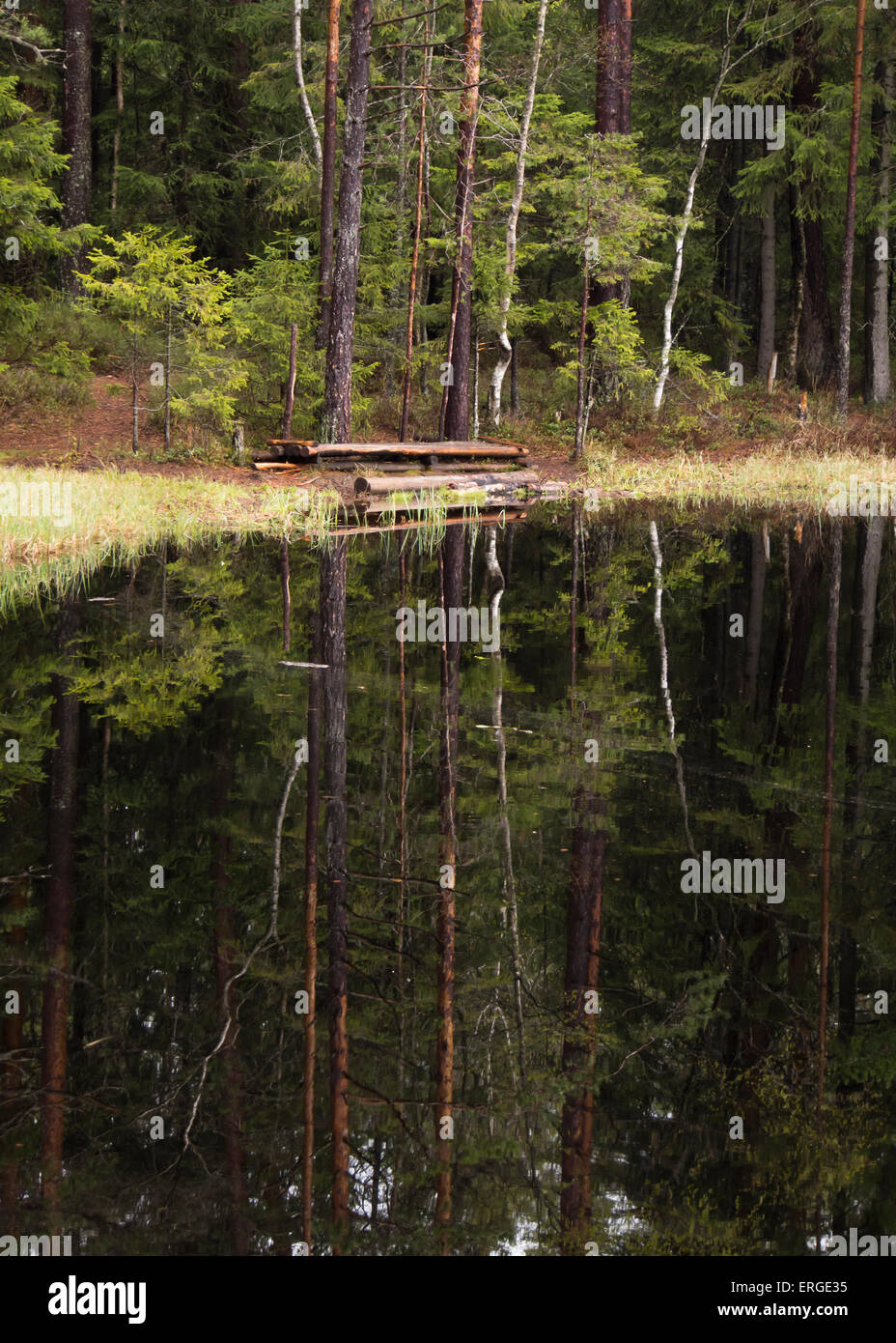 Log bench hi-res stock photography and images - Alamy