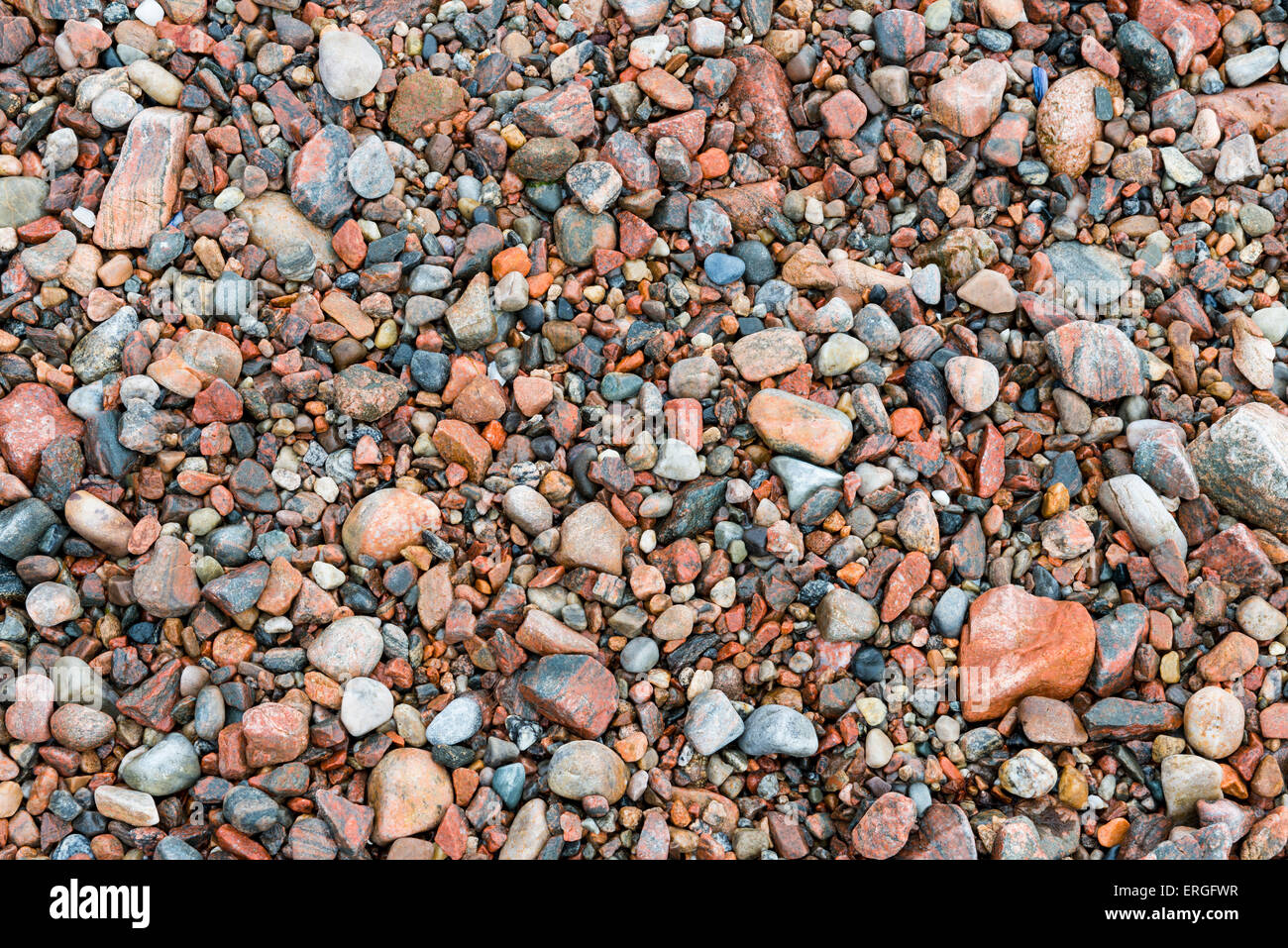 Red pebble on the beach of Scotland Stock Photo - Alamy