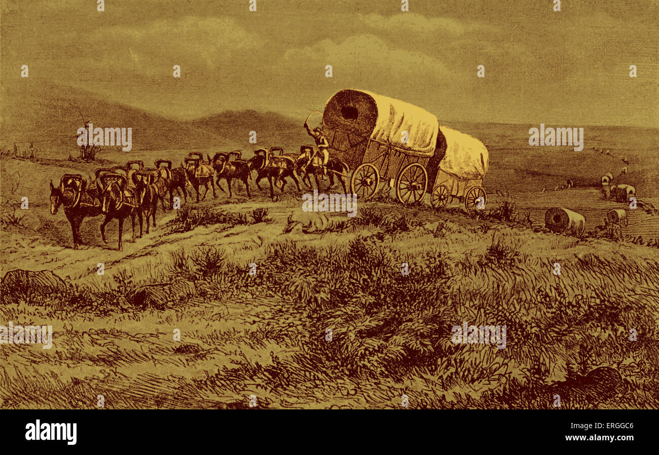Mule-train preparing to start over the plains to settlements in Arizon ...