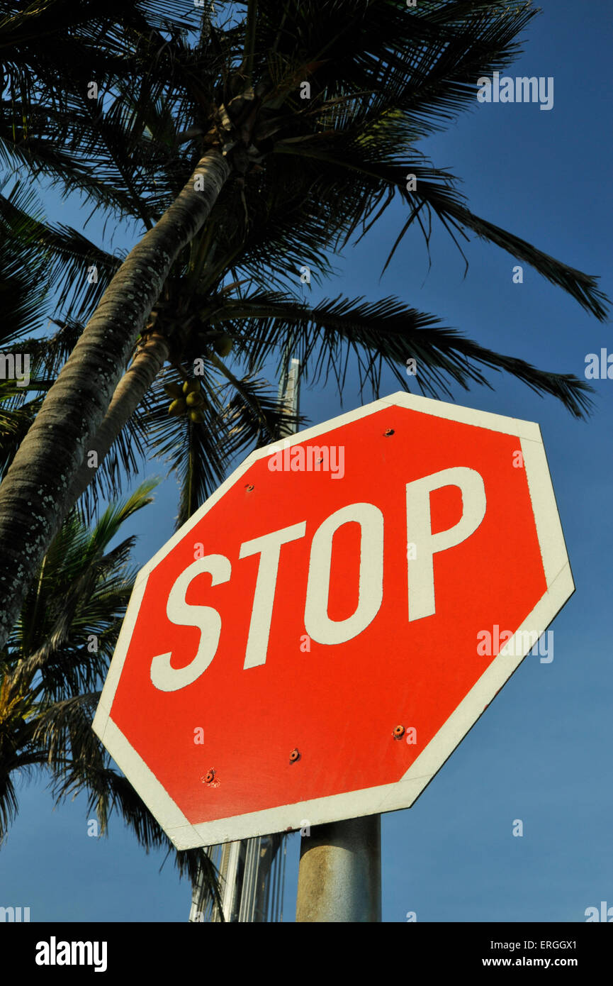 Red STOP traffic sign under leaves of Palm trees Stock Photo - Alamy