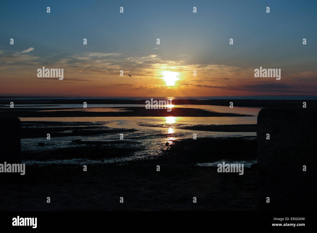 Cape Cod sunset at the beach - Cape Cod forms the easternmost portion ...