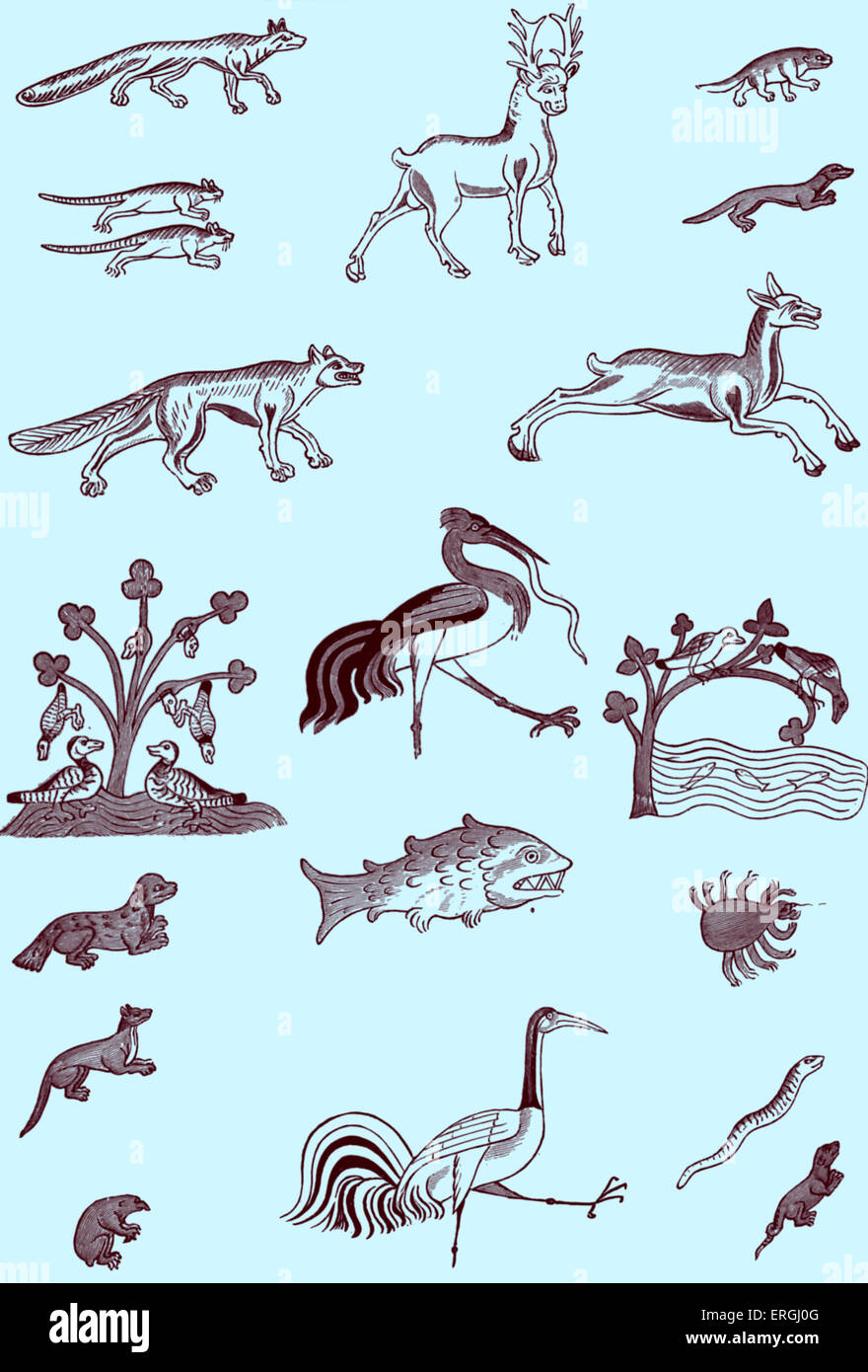 Fauna of Ireland - as described by Gerald of Wales. 13th century ...