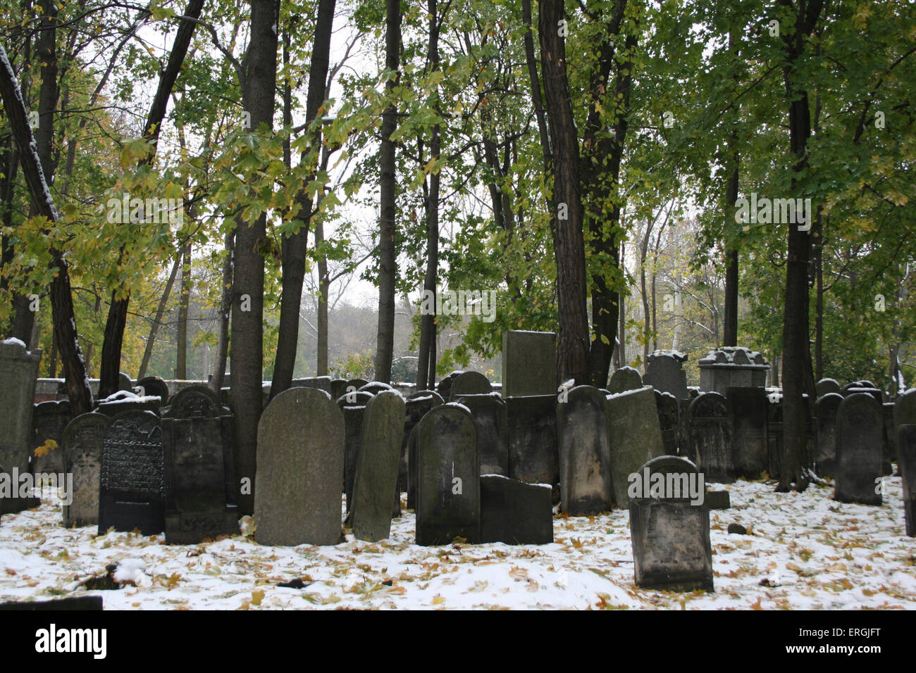 Old Jewish Cemetery Warsaw, Poland. Gravestones and tombstones overview ...