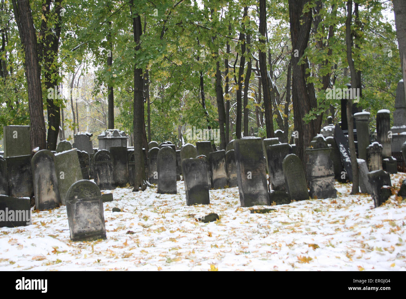 Old Jewish Cemetery Warsaw, Poland. Gravestones and tombstones overview ...
