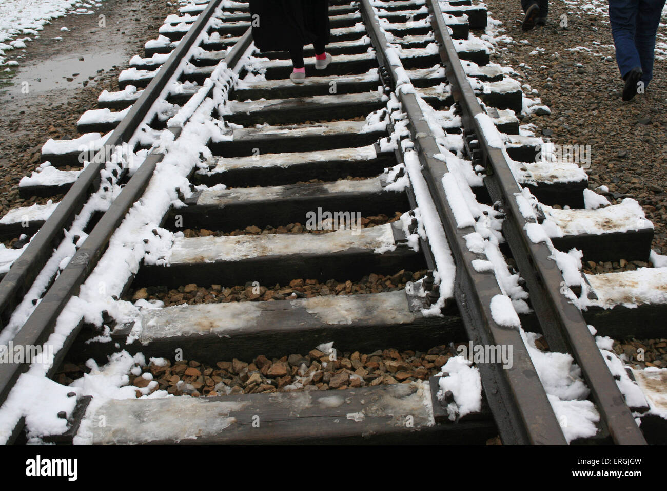 Extermination camp Auschwitz-Birkenau - Railway track leading on from ...