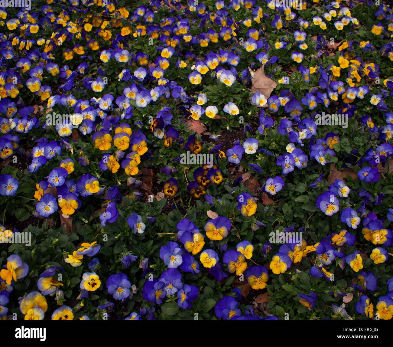 Bright outside hi-res stock photography and images - Alamy