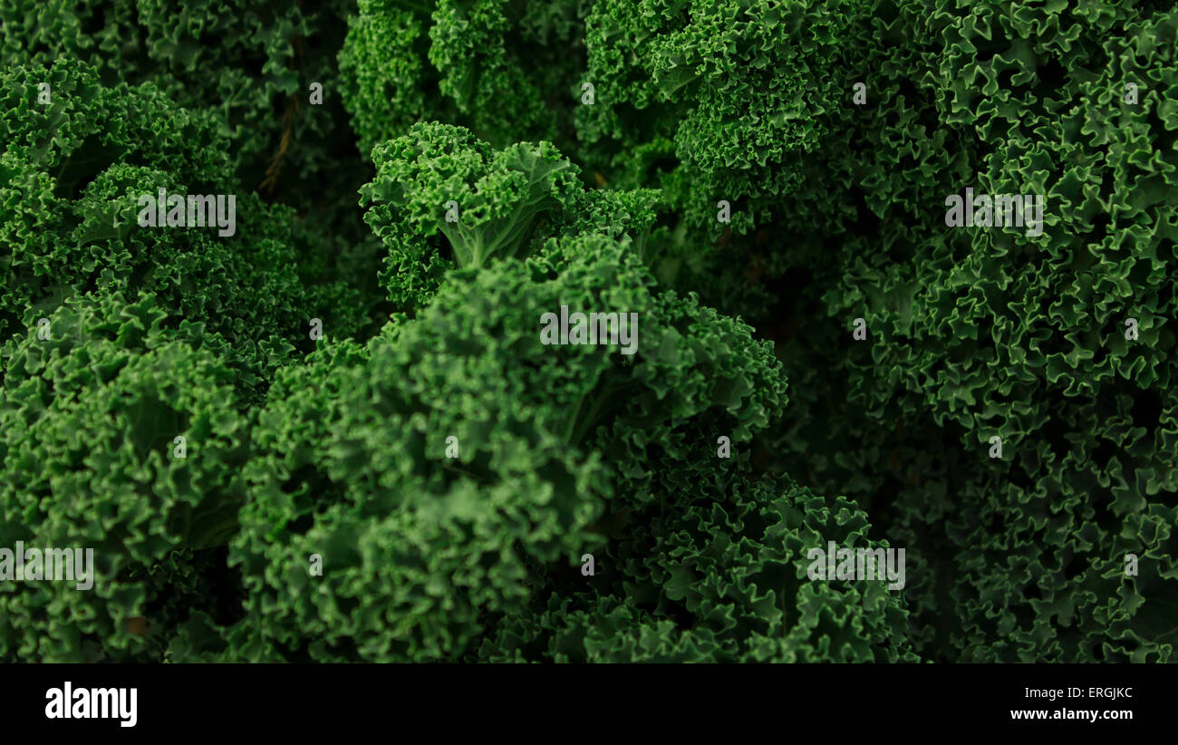 Green food texture hi-res stock photography and images - Alamy