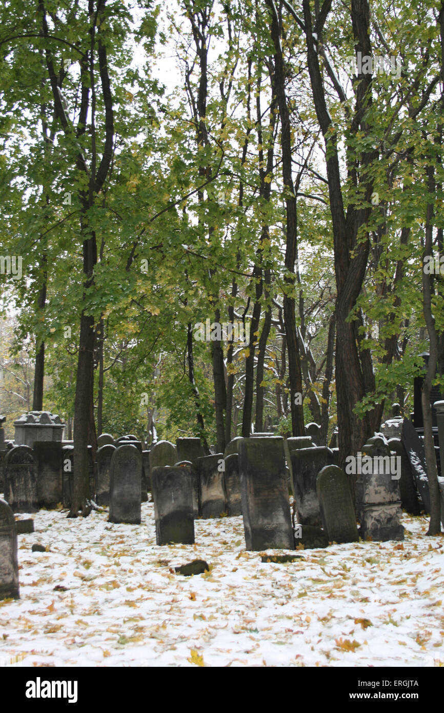 Old Jewish Cemetery Warsaw, Poland. Gravestones and tombstones overview ...