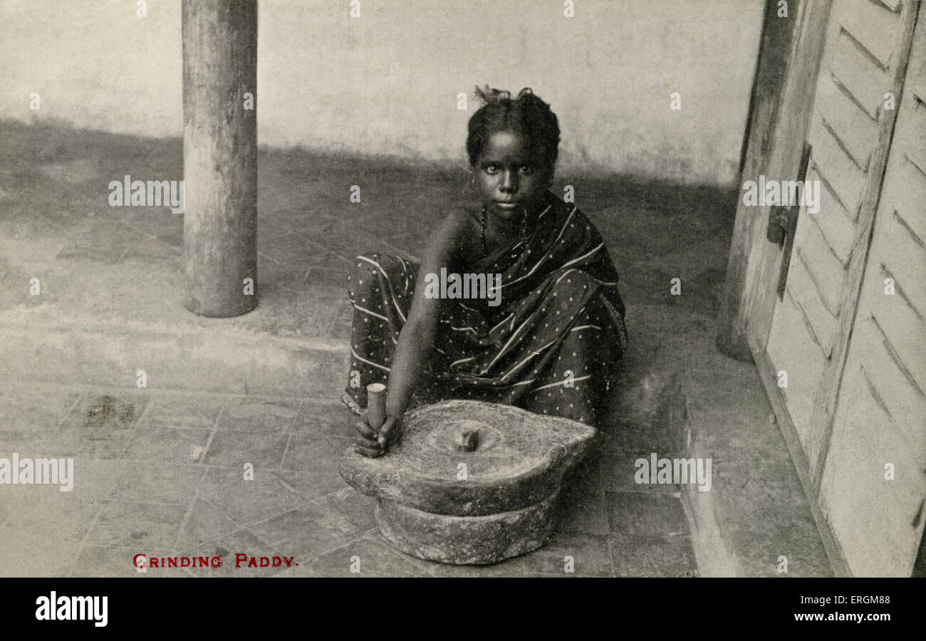 Indian girl grinding paddy rice. Photograph from early 20th century ...