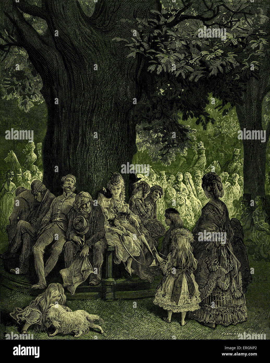 Tree engraving hi-res stock photography and images - Alamy