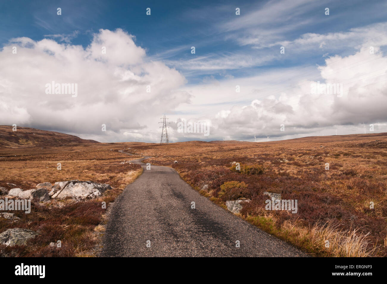 Glenkyllachy forest showing the electricity pylons and Farr wind farm ...