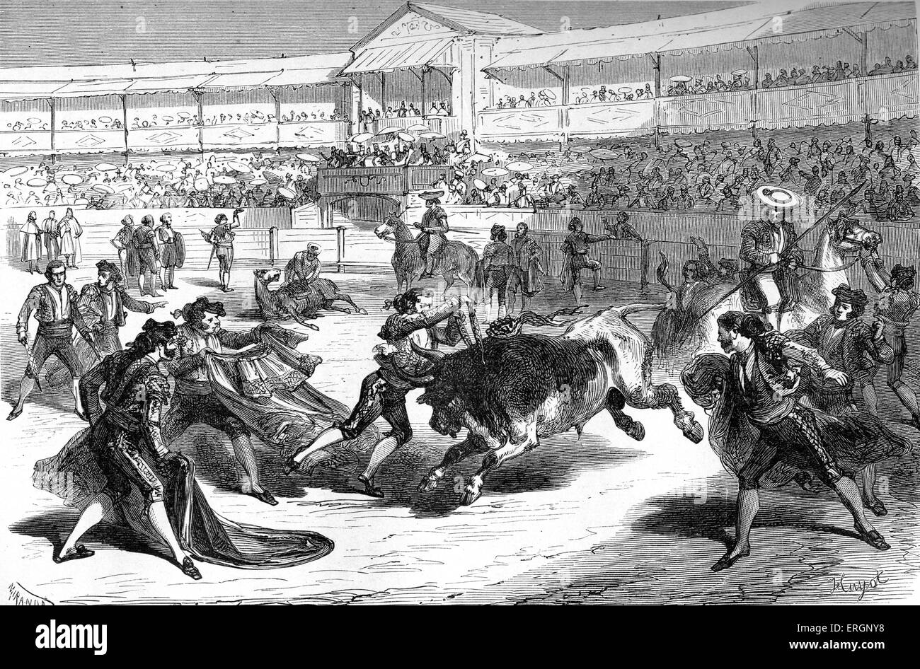 Spanish Bullfight scene, matadors perform in the ring on foot and on ...