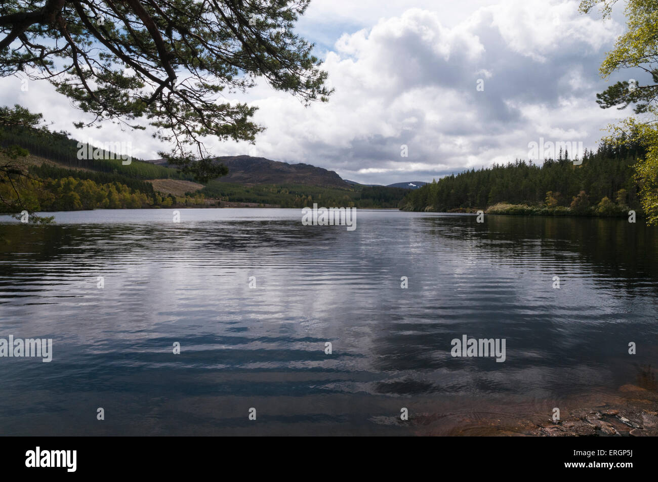 Farr strathnairn hi-res stock photography and images - Alamy