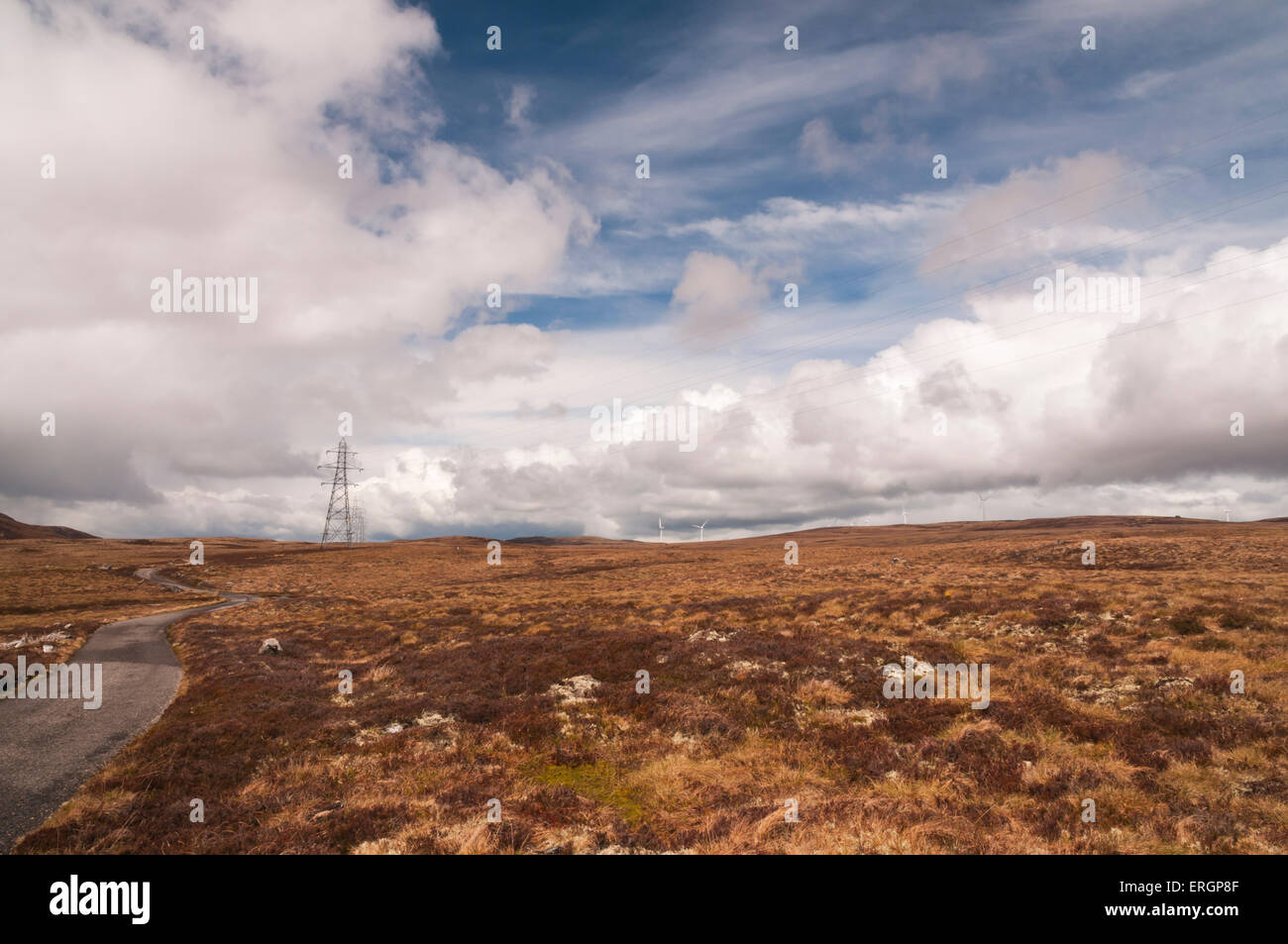 Glenkyllachy forest showing the electricity pylons and Farr wind farm ...