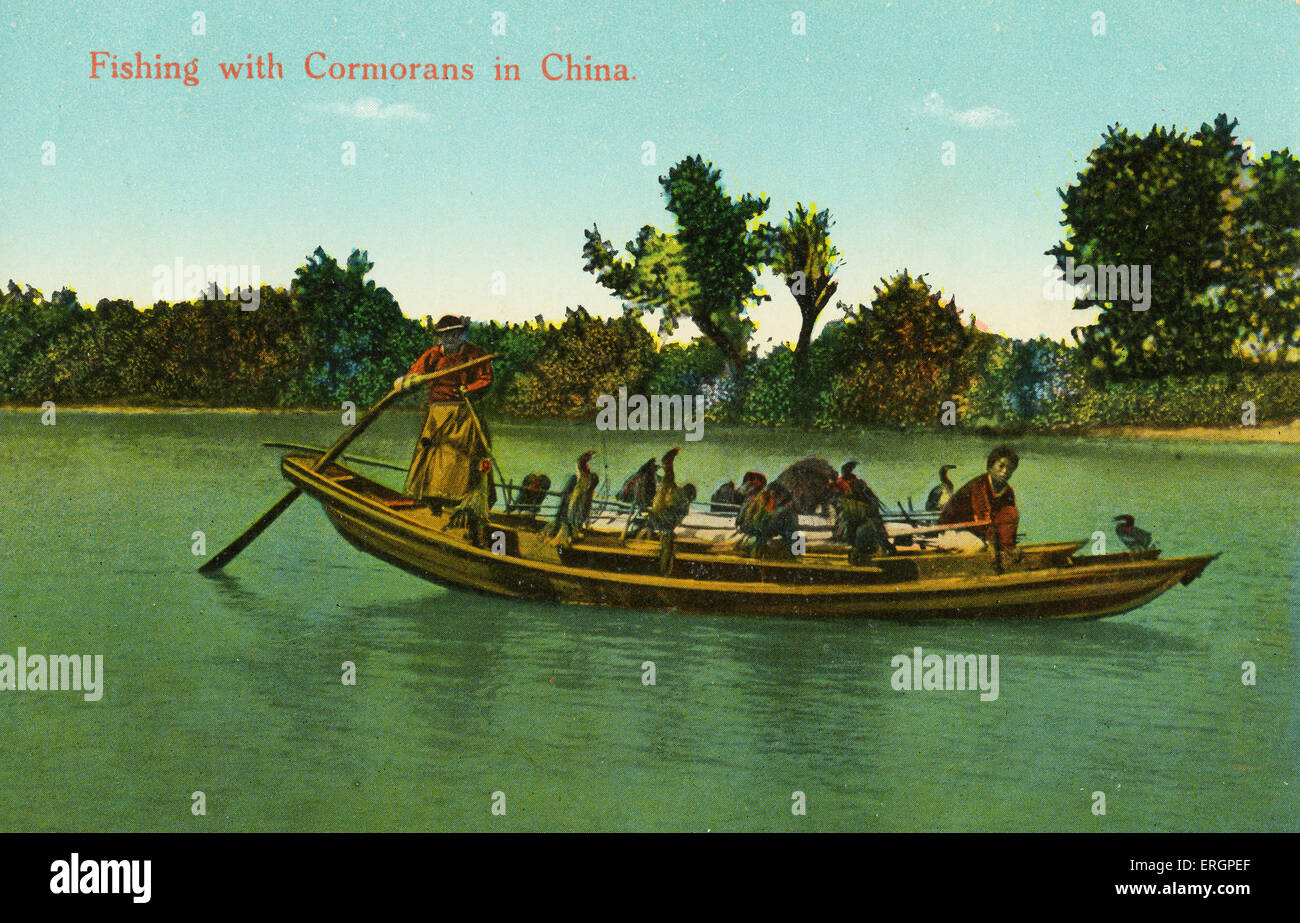 Comorant fishing, birds line the side of the boat ready to catch fish ...