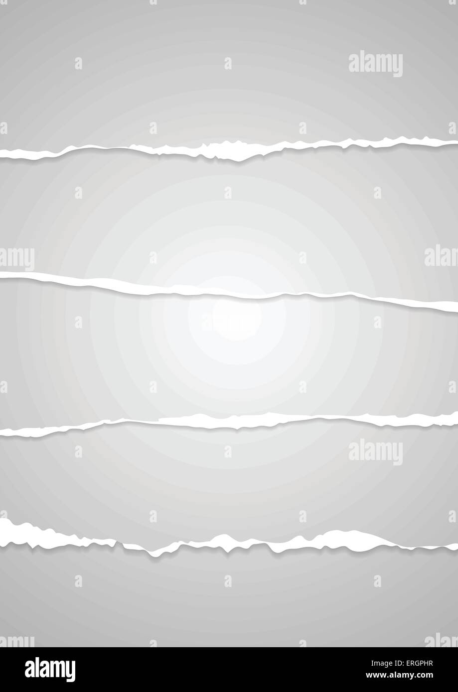 Abstract grey ragged edge paper. Vector design Stock Vector Image & Art ...