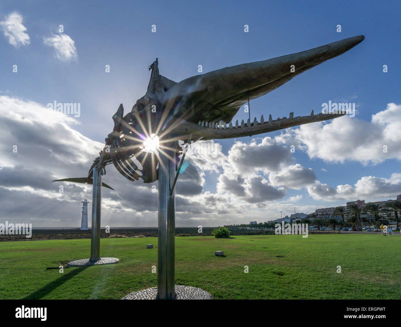 Skeleton geography hi-res stock photography and images - Alamy