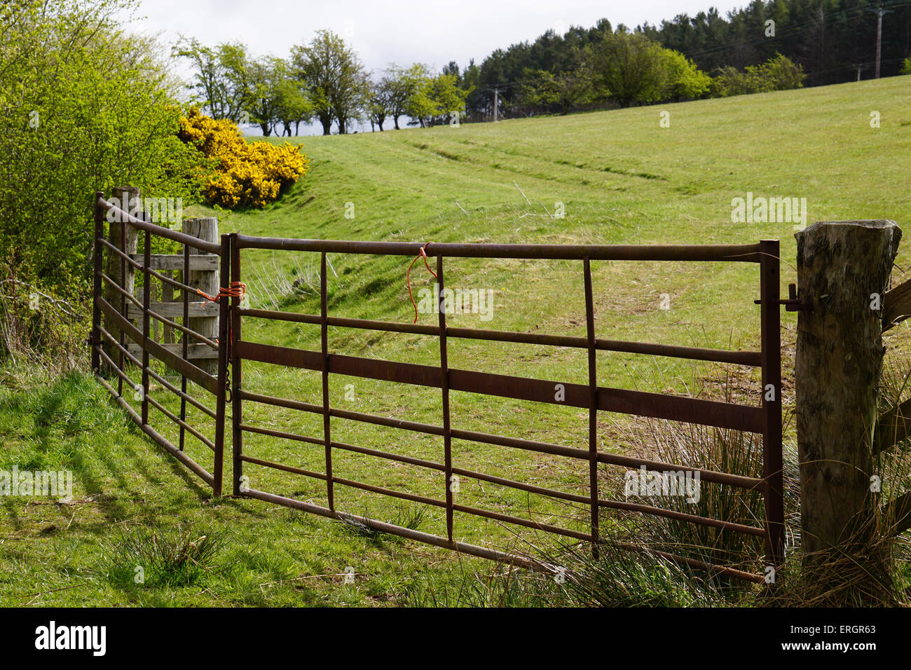 Field gate hi-res stock photography and images - Alamy
