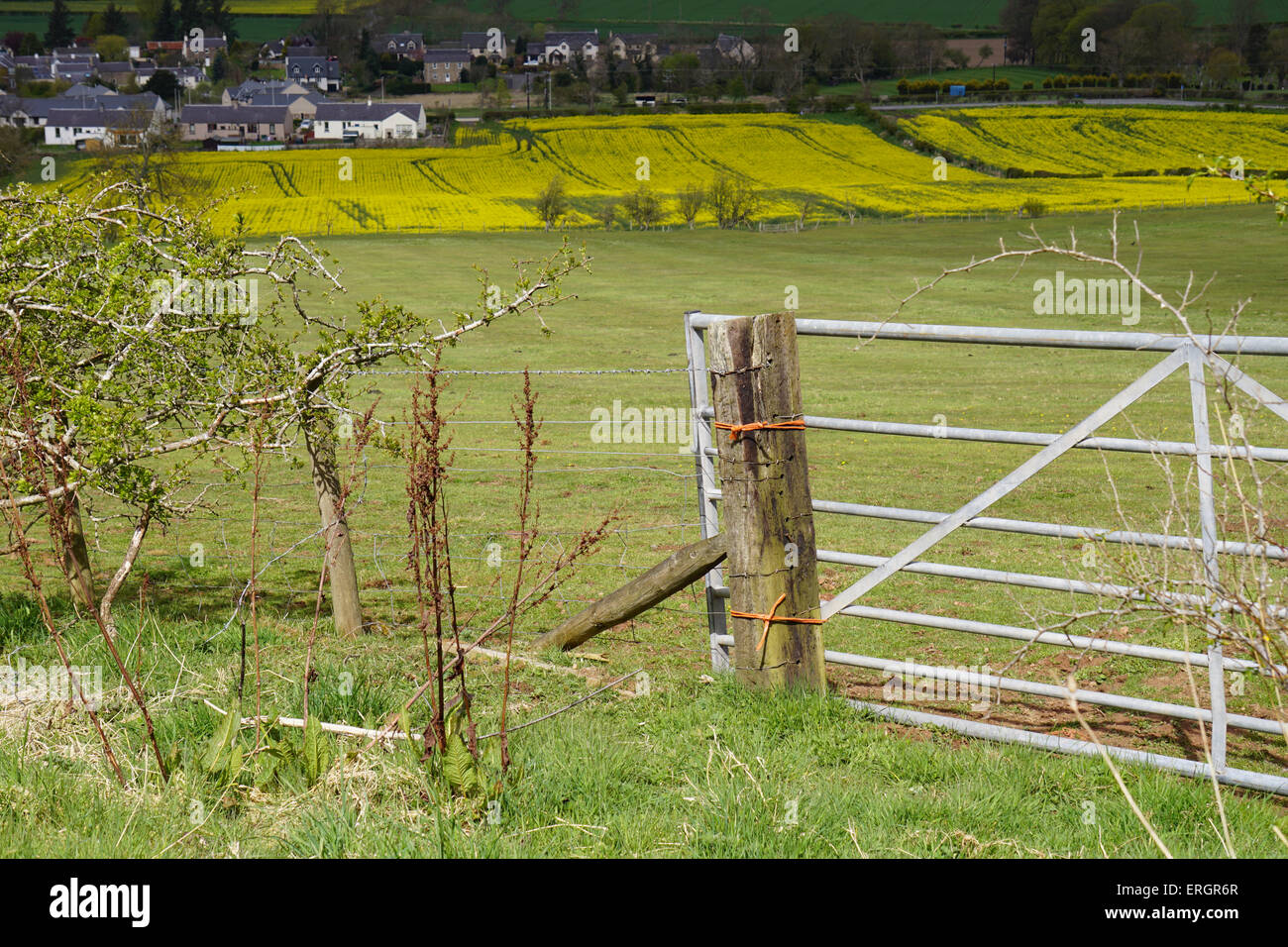 Scottish field gate hi-res stock photography and images - Alamy