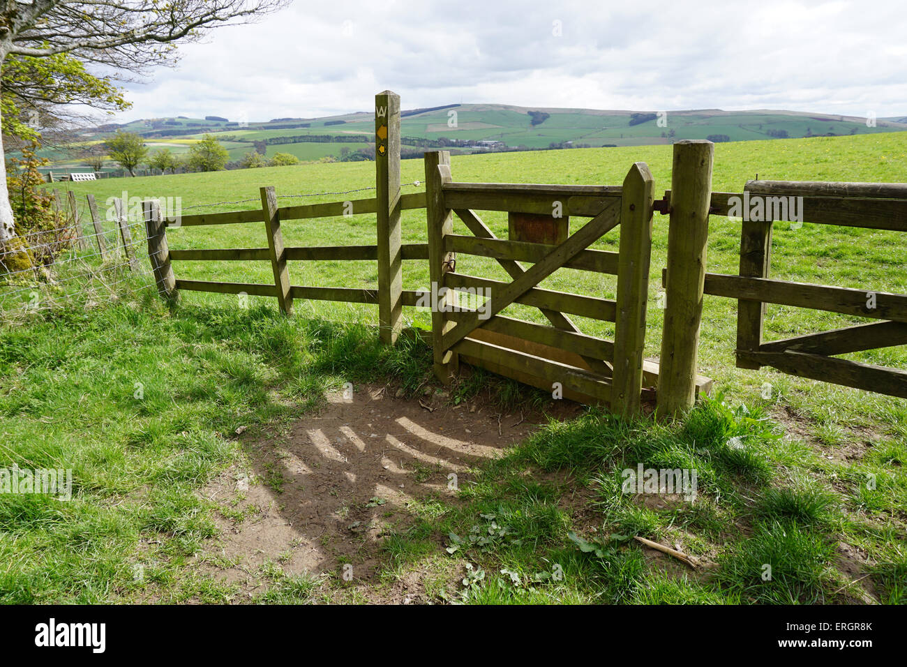 Gate and Stile, Borders Abbeys Way Stock Photo - Alamy