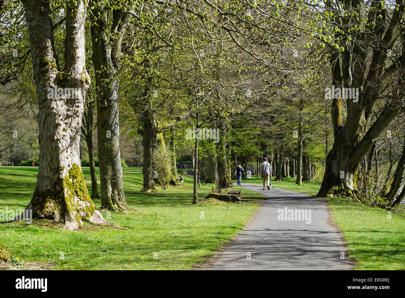 Hawick scotland hi-res stock photography and images - Alamy