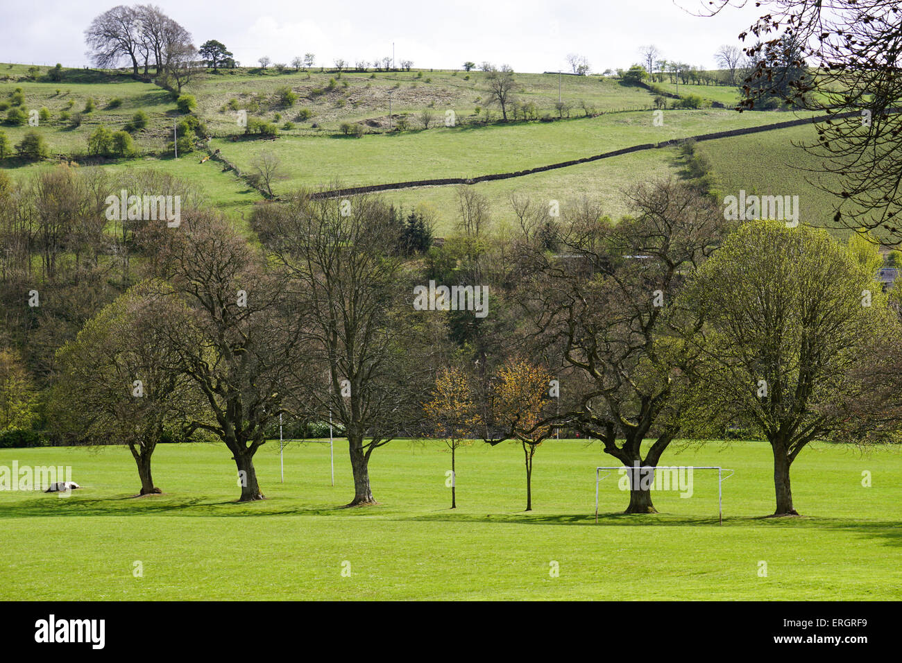 Trees and Hillside Stock Photo - Alamy