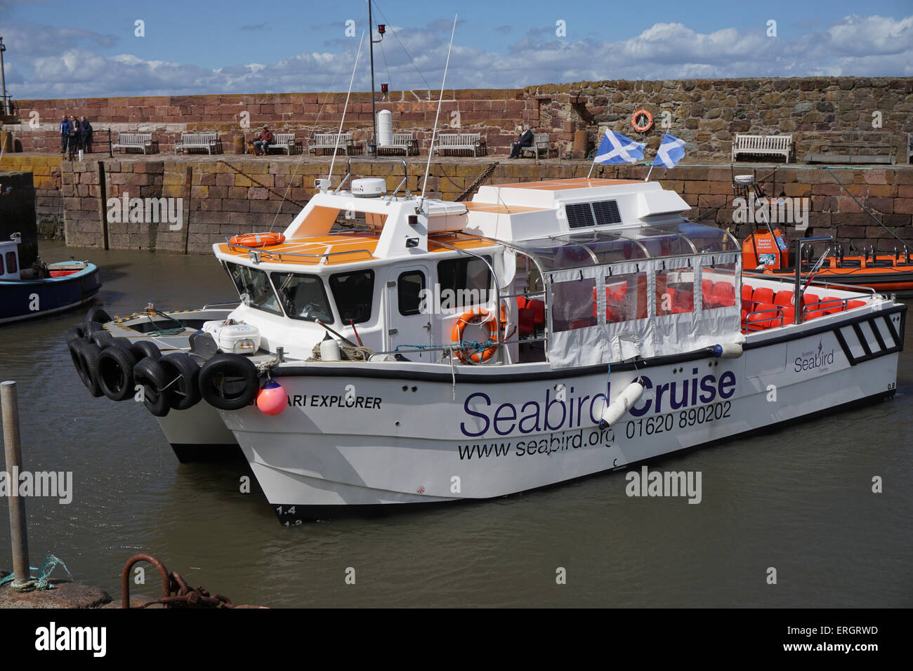 Scottish seabird centre hi-res stock photography and images - Alamy