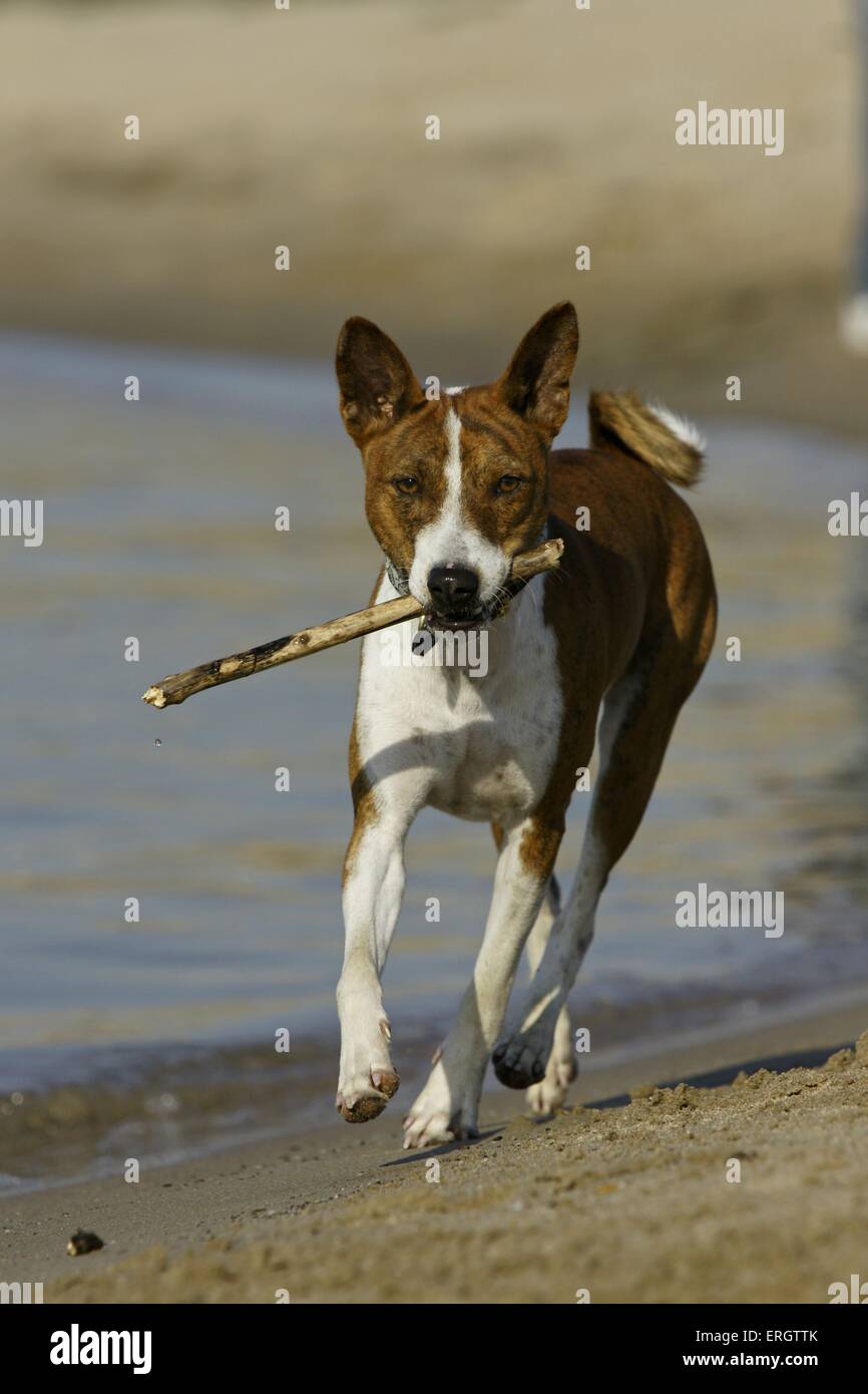 Mouth of congo river hi-res stock photography and images - Alamy