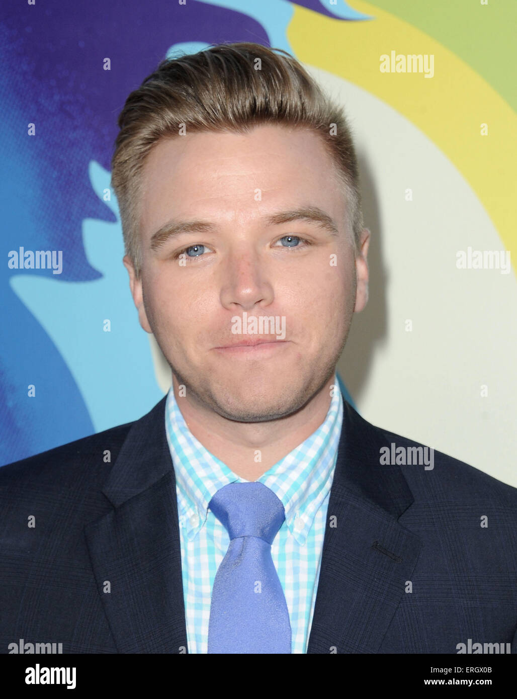 Los Angeles, California, USA. 2nd June, 2015. Brett Davern attending ...