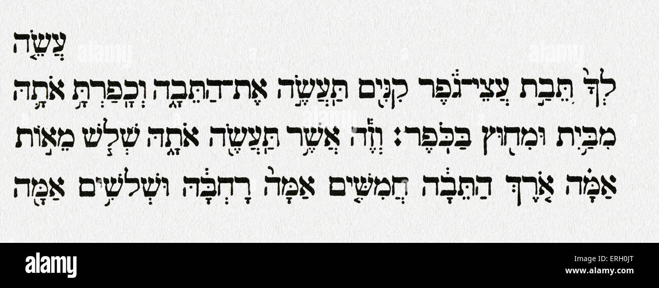 Noah's Ark - Genesis. Hebrew characters from Genesis VI, verse 14 ...