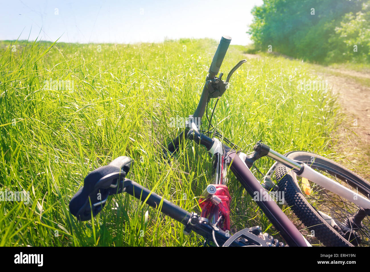 Tired bicycle lying in the grass Stock Photo - Alamy