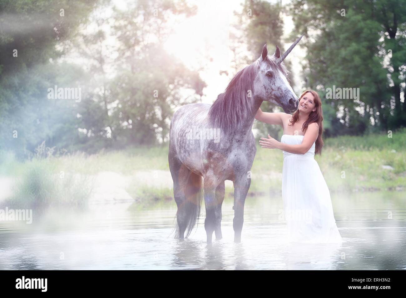 Unicorn horse animal one hi-res stock photography and images - Alamy