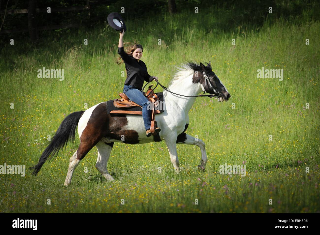 woman rides Pinto-Hunter Stock Photo - Alamy