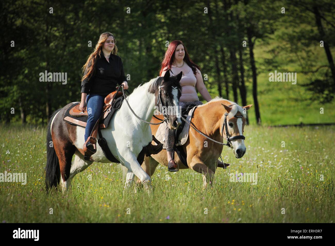 woman rides Pinto-Hunter Stock Photo - Alamy