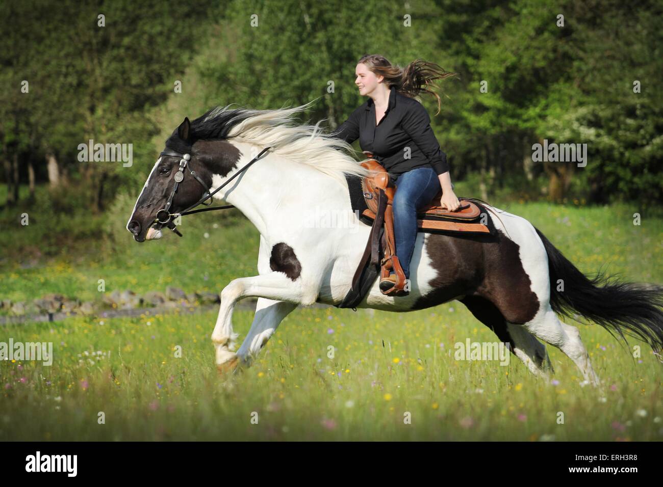 woman rides Pinto-Hunter Stock Photo - Alamy