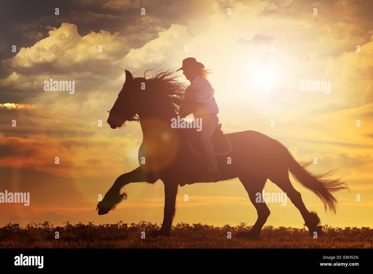 Friesian Horse Riding High Resolution Stock Photography and Images - Alamy