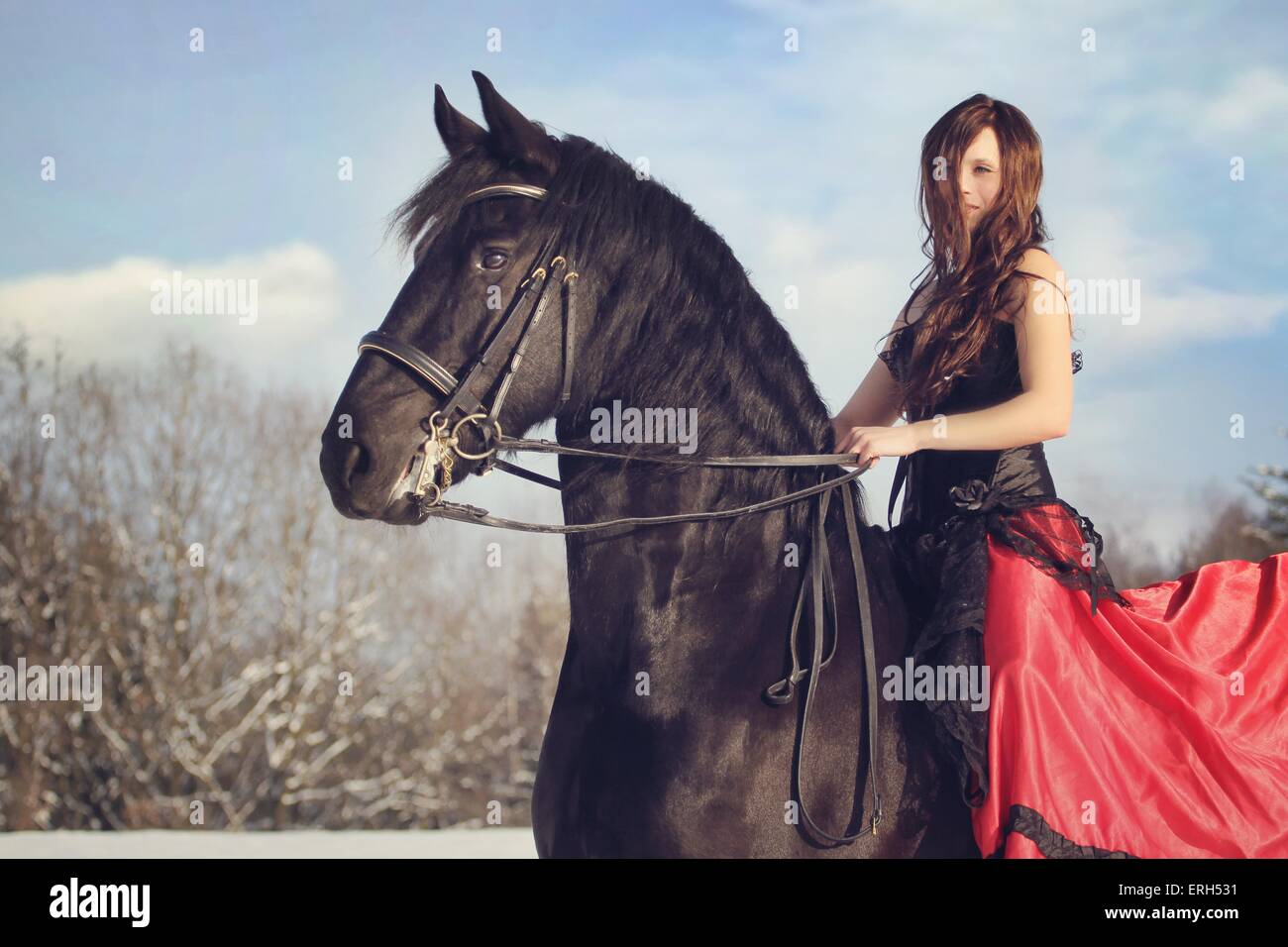 woman rides Frisian horse Stock Photo - Alamy