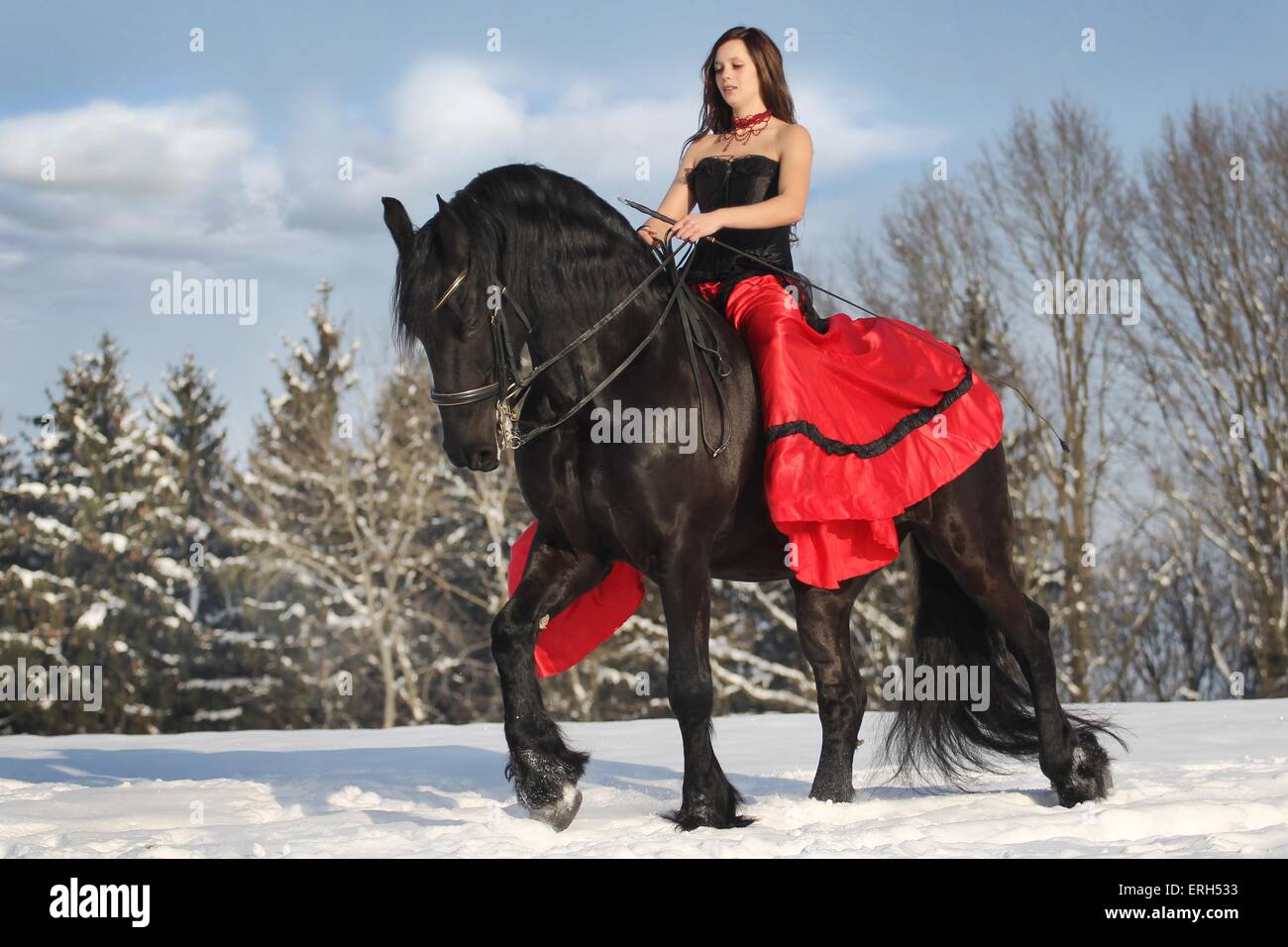 woman rides Frisian horse Stock Photo - Alamy