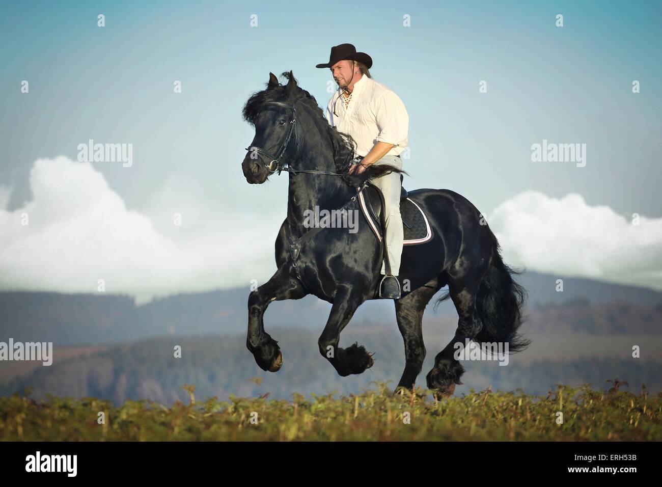 man rides Frisian horse Stock Photo - Alamy