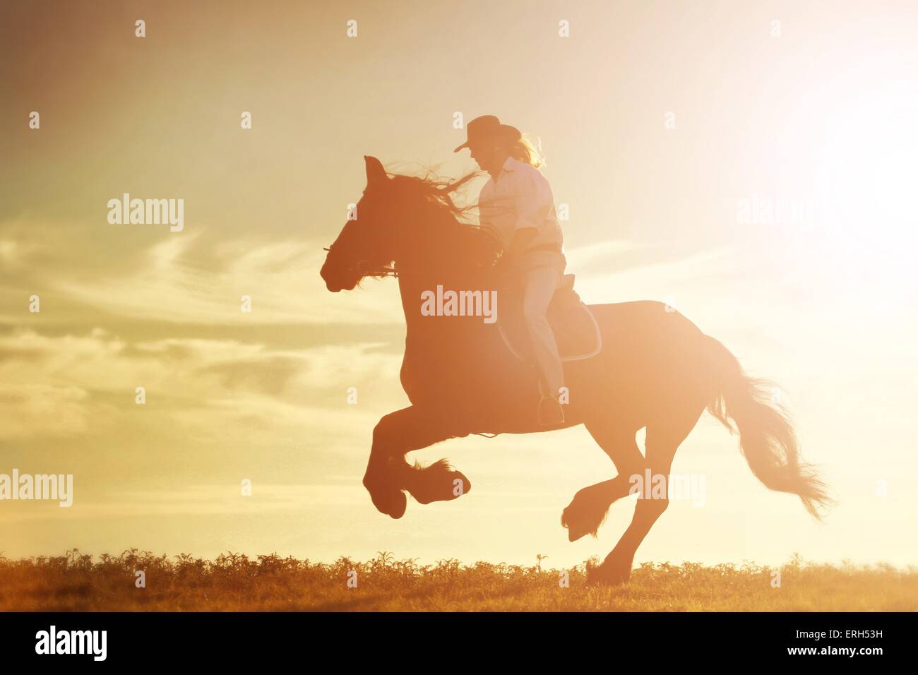 man rides Frisian horse Stock Photo - Alamy