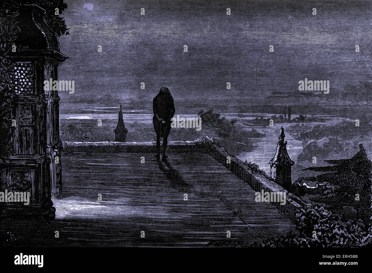 Bleak House by Charles Dickens. Caption reads: 'A bird of ill omen'. Mr ...