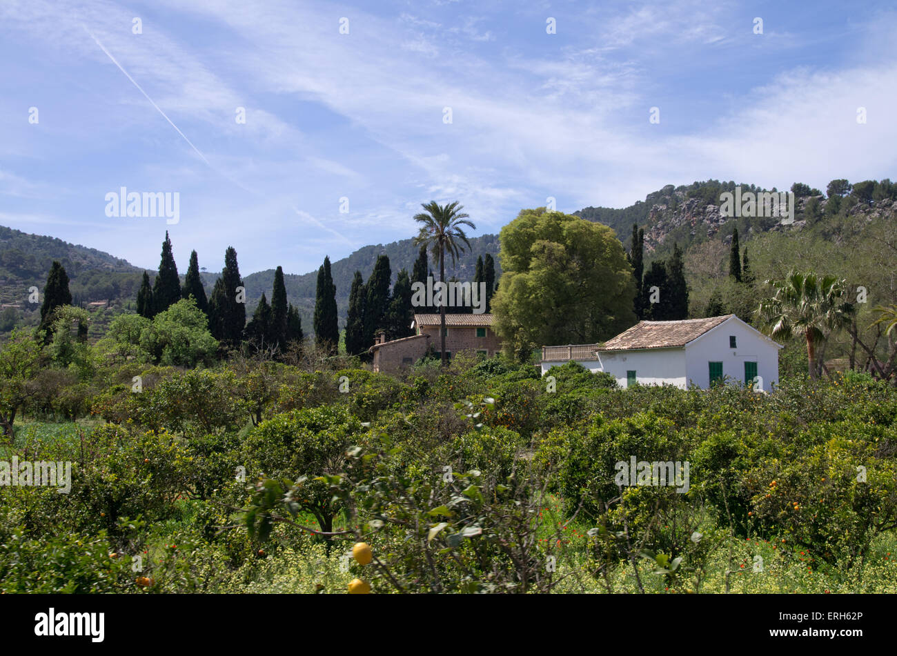 Grove farm house hi-res stock photography and images - Alamy